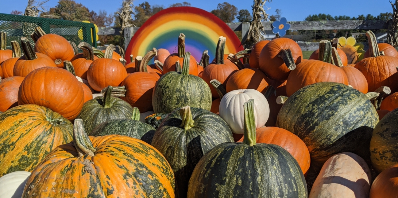 Farm Homepage | Jones Family Farms