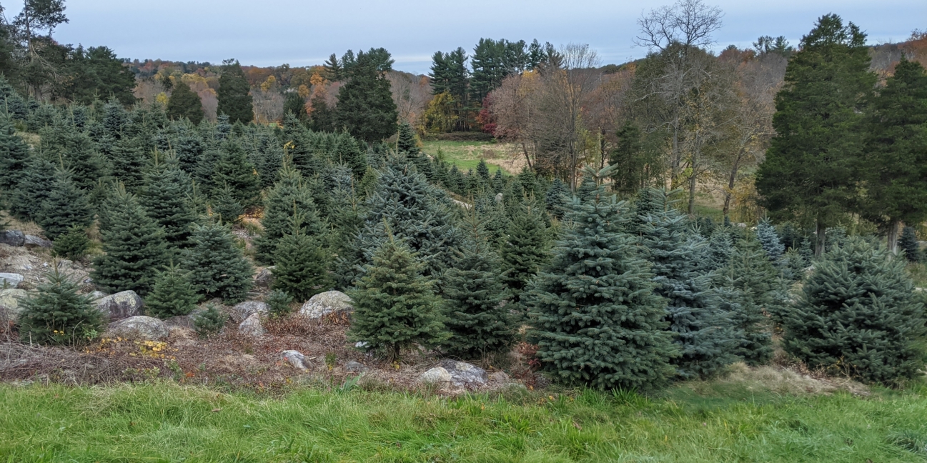 Farm Homepage | Jones Family Farms