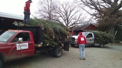 Christmas Trees | Jones Family Farms